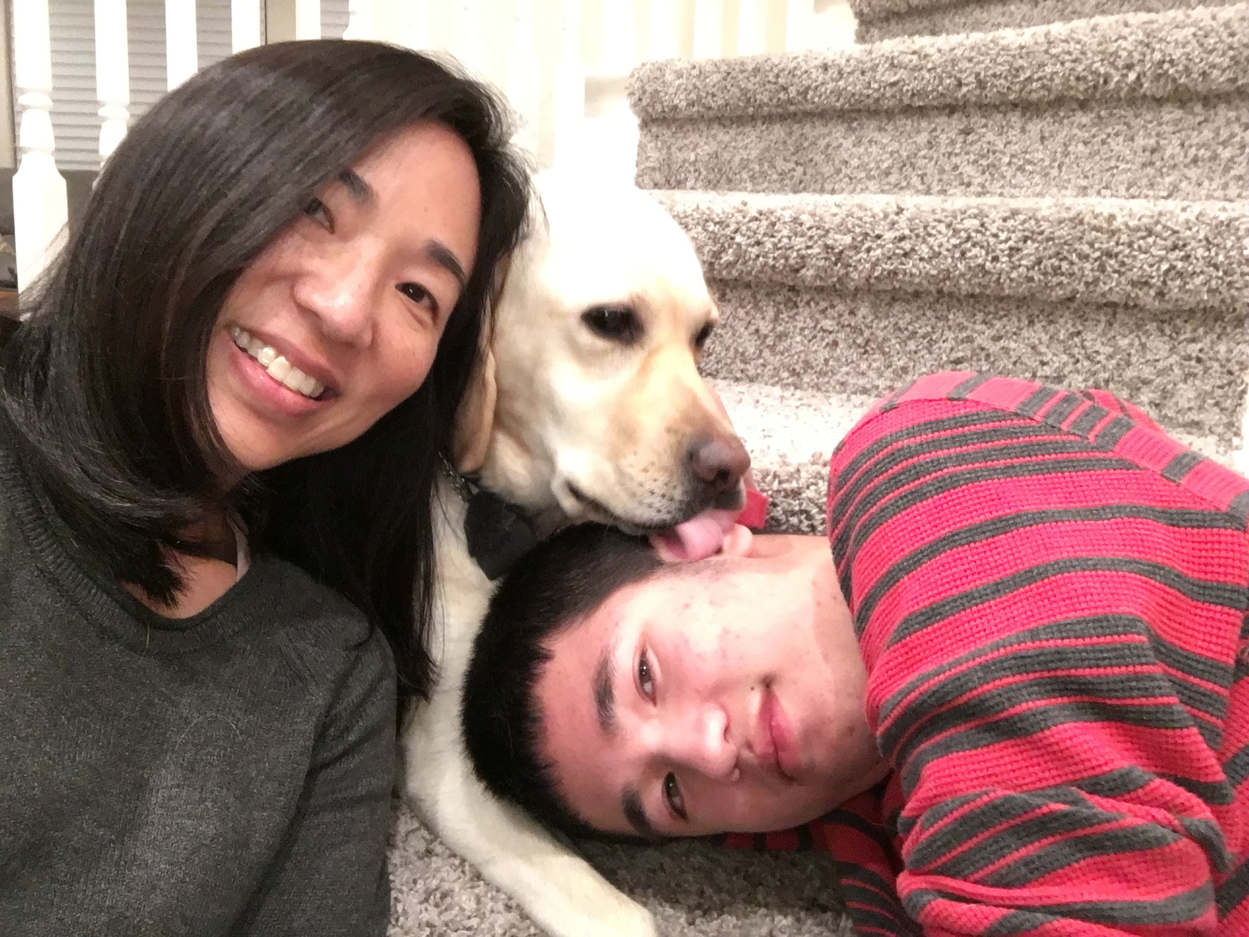 Instinct to Serve: CCI Dogs Transform Special Lives | Special Ops